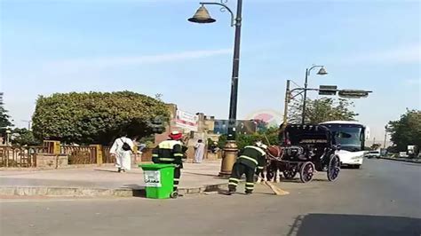 عروس المشاتي في أبهى حُلة أسوان تتزين لاستقبال رأس السنة فيديو وصور