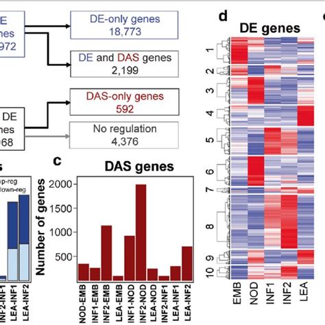 Differential Gene And Alternative Splicing Analysis In Five Barley
