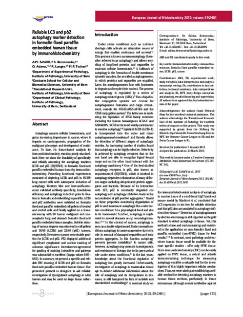 Pdf Reliable Lc3 And P62 Autophagy Marker Detection In Formalin Fixed Paraffin Embedded Human