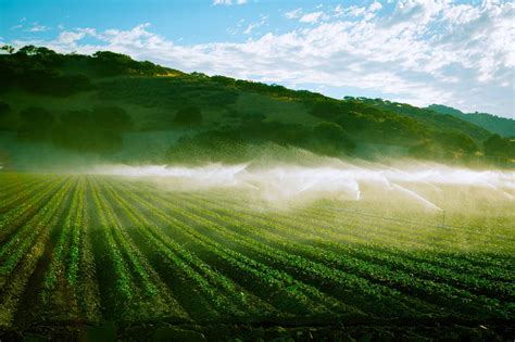 Water Use In Californias Agriculture Public Policy Institute Of