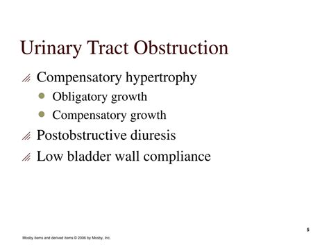 Ppt Alterations Of Renal And Urinary Tract Function Powerpoint