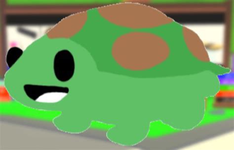 Neon Turtle In Adopt Me Roblox