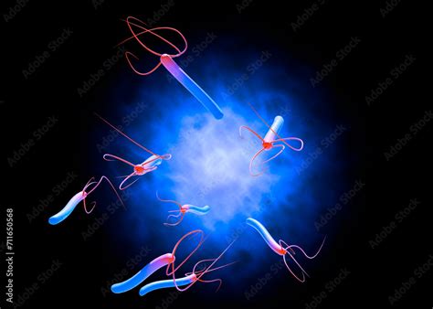Helicobacter Pylori Is A Gram Negative Flagellated Helical Bacterium