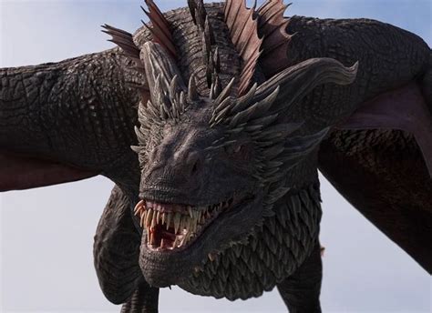 Two Large Black Dragon Heads With Sharp Teeth On Their Backs One Has