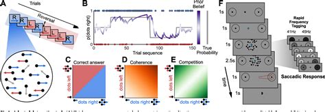 Figure 3 From The Representation Of Priors And Decisions In The Human
