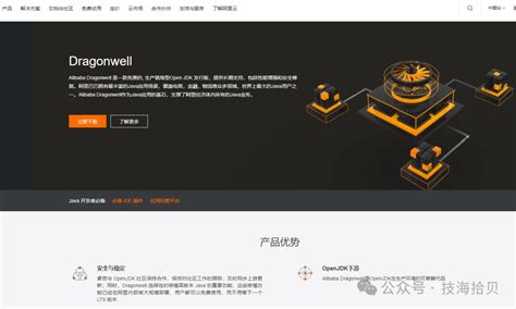 Alibaba Dragonwel Jdk Windows