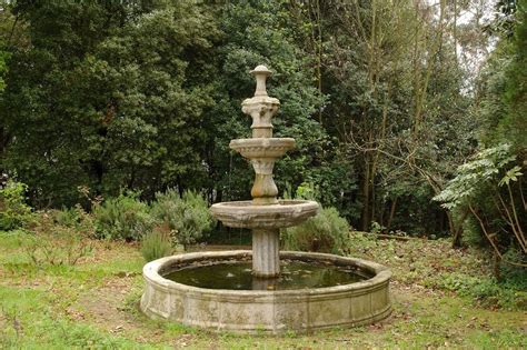 Dias Com árvores Jardim Museu De Fontes E Chafarizes