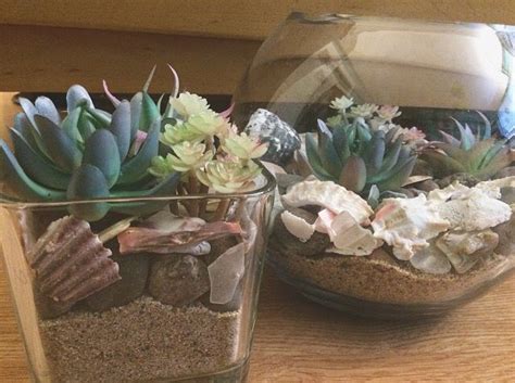 Pin On Diys Plants Garden Diy