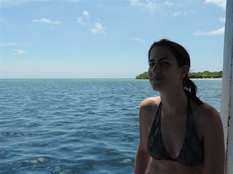 Traveler Photos Of Sumatra And Java Orangutans Volcanoes And Indonesian