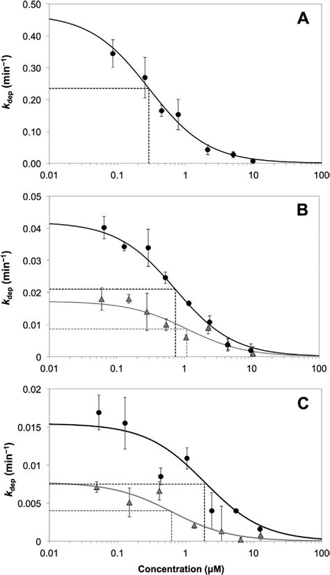 Effect Of Initial Concentration On In Vitro Biotransformation Of Download Scientific Diagram