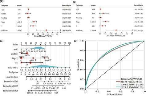 Correlation Between Risk Score And Prognosis A Univariate Cox