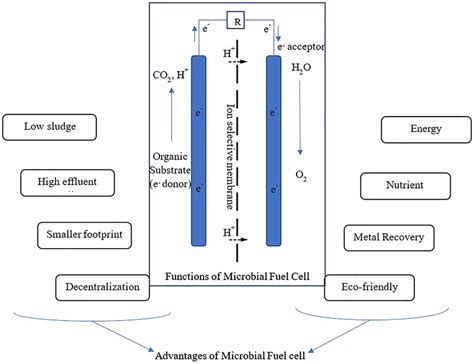 2 Function And Advantages Of Microbial Fuel Cell Download Scientific