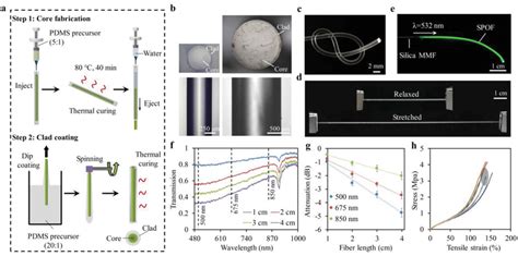 A Fabrication Of The Stretchable Corecladding Optical Fiber Step Download Scientific