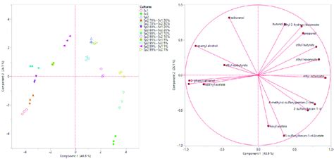 Principal Component Analysis Of 39 Volatile Compounds Analyses