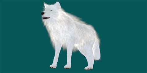 Anthro Arctic Wolf
