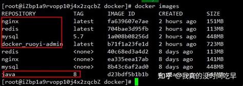 linux环境docker部署ruoyi vue（若依）总结 知乎