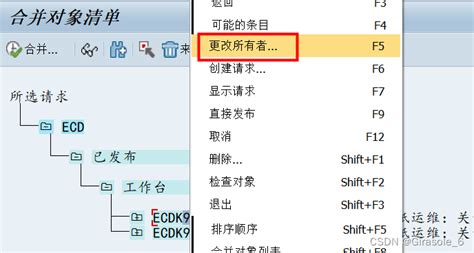 sap tr请求相关总结 csdn博客