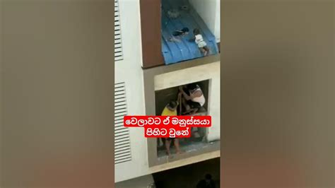 ජීවිතේ බේරුවට ගොඩක් පිං🙏🥺 Youtube