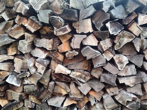 Firewood Man Nestucca Spit Press Meditations