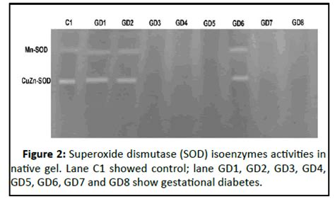 Gene Polymorphism Of Superoxide Dismutase In Gestational Diabetes