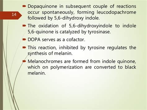 Phenylalanine And Tyrosine Amino Acid Metabolism