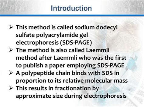 Sds Page Sds Polyacrylamide Gel Electrophoresis Ppt