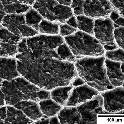 Electron Microscopy Lnnano