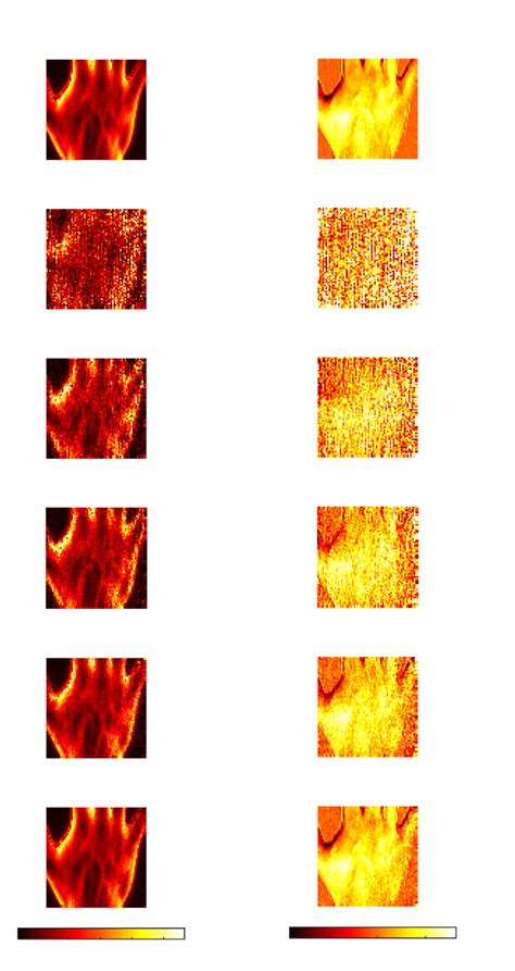 Cs Sfdi Image Panel Comparison Between The Original Data And