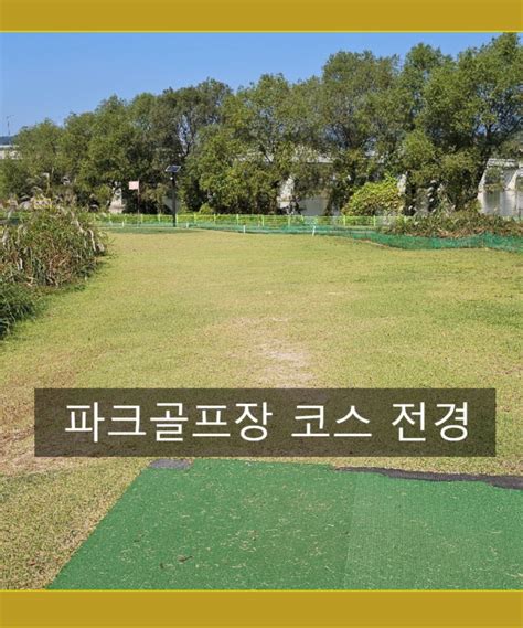 파크골프 강사 파크골프 스윙의 비밀회전력조준력 네이버 블로그