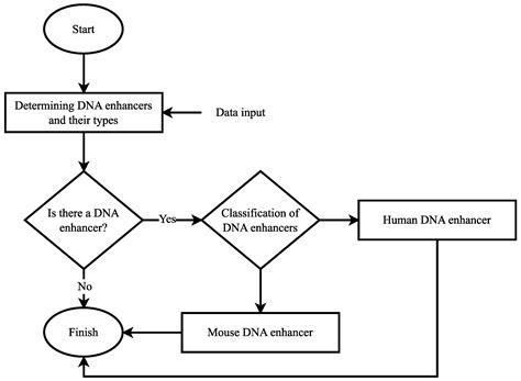 A Novel Repetition Frequency Based Dna Encoding Scheme To Predict Human