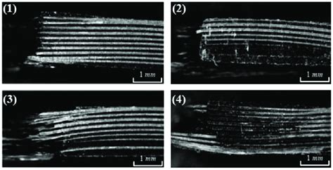 The Tensile Fracture Morphologies Of 3dbac Specimens Download