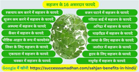 सहजन के 16 असरदार फायदे Sahjan Benefits In Hindi Success Samadhan