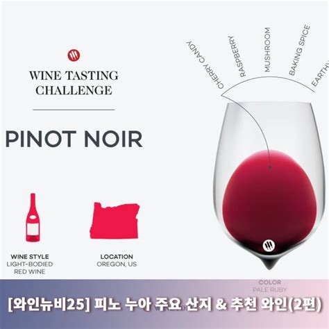 와인뉴비25 포도품종 알아보기 피노 누아2편 네이버 블로그
