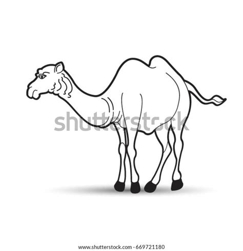 Standing Camel Black Outlinevector Drawing Stock Vector Royalty Free
