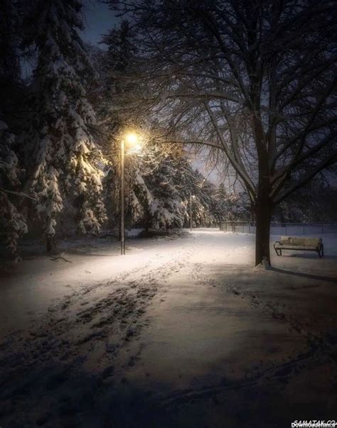 عکس زیبا از شب برفی