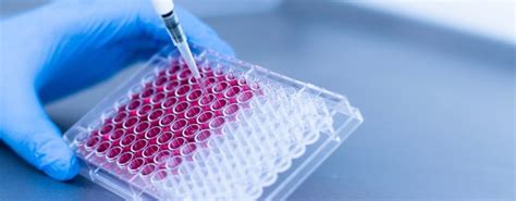 What Teer Measurement Is And Why Laboratories Should Use It Svi News