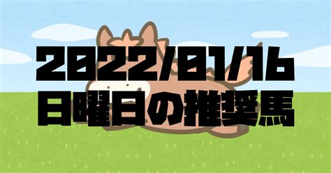 116日中央競馬予想｜いそべ🐎競馬予想｜note
