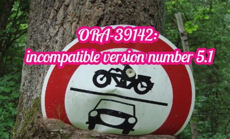 ORA 39142 Incompatible Version Number 5 1 Database Tutorials