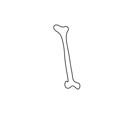 Halloween Scary Bones Skeleton 12285693 Vector Art At Vecteezy