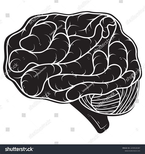 Silhouette Head Brain Vector Flat Illustation Stock Vector Royalty