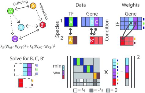 Schematic Representation Of Design Matrix Construction Here The Download Scientific Diagram