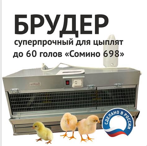 Брудеры для цыплят купить по низким ценам в интернет-магазине OZON