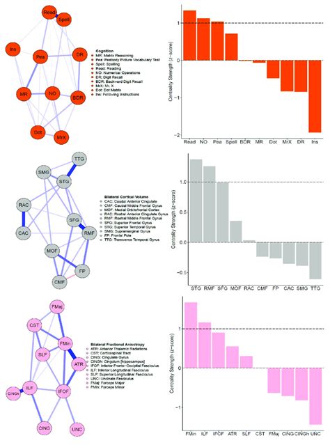 Single Layer Partial Correlation Networks Top Network Visualization