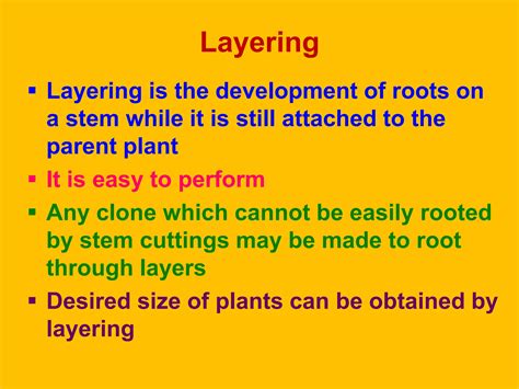Lec 7 And 8 Grafting Budding Pptx Horticulture Ppt