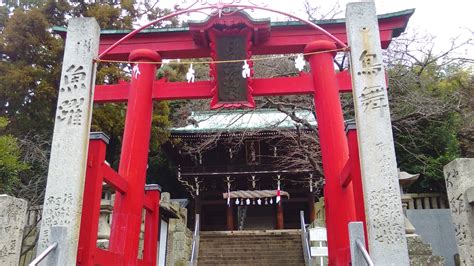 森林浴の続きを ごきげんよう つれづれ日記