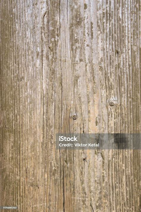 오래된 풍화 소나무 보드에서 울타리 천연 숙성 된 나무의 감촉 나무 벌레 구멍 녹슨 손톱 창조적 인 빈티지 배경입니다 0명에 대한 스톡 사진 및 기타 이미지 Istock