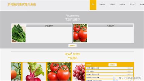 [独有源码]java jsp乡村振兴惠农推介系统44k6n从不会做毕业设计到成功完成的过程与方法 csdn博客