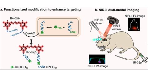 A Nir Ii Photoacousticnir Iia Fluorescent Probe For Targeted Imaging Of Glioma Under Nir Ii
