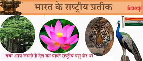 National Symbols Of India In Hindi Nice Concept