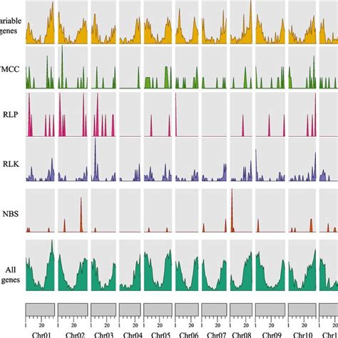 A Composition Of The Watermelon Pan Genome B Heatmap Of Variable